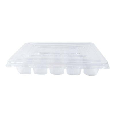 China Transparent Dumpling Box Disposable Bowl with Pillar Design and Eco-friendly PP Material for Storing and Dividing Dumplings for sale