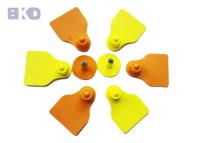 China PP Plastic Eartag Prototype Injection Molding For Animal Management for sale
