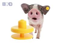 China Rfid Ear Tag Plastic Injection Molding Product For Animal for sale