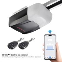 China 24V Automatic Garage Door Opener 800N 1/2HP Smart WiFi Sectional Door Motor for sale