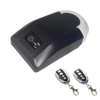 China Residential Sectional Garage Door Opener 800N 3M Chain Drive Rail 24V DC Motor for sale