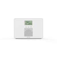 China CMA Marine Wired Intelligent Carbon Monoxide Tester For Chemical Industry for sale