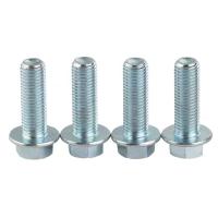 China China Fastener High Quality DIN6921 Flange Bolt 4.8/8.8/10.9/12 9flange Bolt for sale