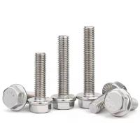 China Hexagon Flange Bolts Fastener Factory Provided A2 A4 SS304 SS316 for sale