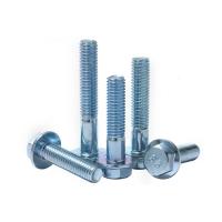 China Hot Sale Din6921 Stainless Steel 304 316 Hexagon Flange Bolt Grade 8.8/10.9 /12.9 Customization High Quality for sale