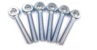 China Din444  Long Eye Bolts Galvanized Live Joint Screws Lifting Rings Perforated Bolts for sale