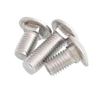China Made in China Factory Wholesale High-Quality Ss Stainless Steel DIN603 Cup Head Square Neck Bolts/Carriage Bolts for sale