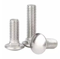 China Din603 Carriage Bolts 38 4 Grade 5 High Quality Hot Selling Stainless Steel Customized in Various Sizes for Construction for sale