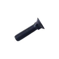 China Factory Wholesale Price DIN605/DIN608 Grade 4.8/8.8/10.9/12.9 Black Countersunk CSK Head Square Neck Carriage Bolt for sale