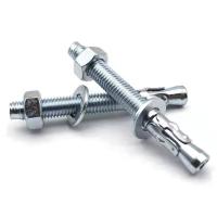 China Manufacturer's Wholesale Fastener Zinc Plated Expansion Wedge Anchor Bolt Car Repair Gecko Bolts for sale