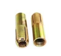 China Factory Direct Sales Drop in Anchor Carbon Steel Wedge Expansion Anchor/Car Repair Gecko/Drop in Expansion Anchor Bolts for sale