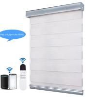 China FREE SAMPLE Smart Dual Roller Motor Blinds 100% Blackout Double Layers  Day Night Window Electric Motorized Zebra Blinds for sale