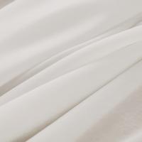 China Good sale Modern simple wholesale day velvet transparent window gauze curtain white for sale