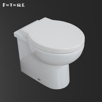 China Future 380mm Width Floor Mounted Back To Wall Wc P Trap One Piece Commode for sale