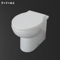 China Future 380mm Width Floor Mounted Back To Wall Wc P Trap One Piece Commode for sale