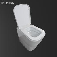 China Dual Flush Buttons Modern Toilet Back To Wall P Trap WC 350mm Width for sale