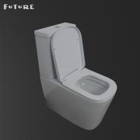 China Soft Close Seat Cover Close Coupled Bathroom Toilet Dual Flush Buttons for sale