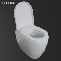 China Water Resistance Rimless Comfort Height Back To Wall Toilet With Concealed Cistern for sale