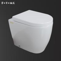 China Water Resistance Rimless Comfort Height Back To Wall Toilet With Concealed Cistern for sale