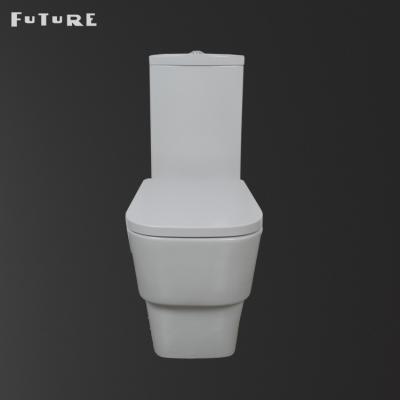 China Dual Flush 3L 6L Wash Down Type Water Closet Floor Mounted Wc Bathroom Sanitary for sale