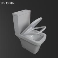 China Floor Mounted Rimless Toilet Pan Gravity Flushing With Soft Closing Seat Cover for sale