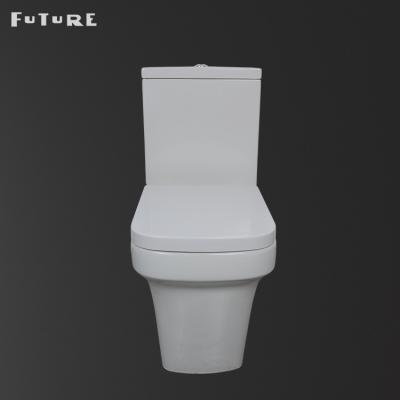 China Floor Mounted Rimless Toilet Pan Gravity Flushing With Soft Closing Seat Cover for sale