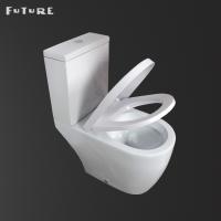 China Antibacterial Rimless Toilet Sanitary Ware Modern Water Closet Automatic Operation for sale