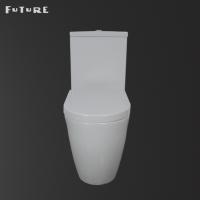 China Antibacterial Rimless Toilet Sanitary Ware Modern Water Closet Automatic Operation for sale