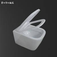 China High Density Smart Commode Back To Wall Washdown Toilet Smooth Glazed for sale