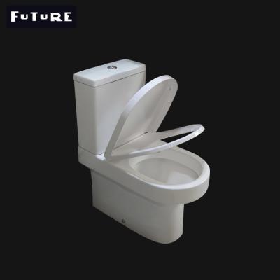 China FUTURE Short Projection Concealed Cistern Toilet Apartment Size Toilet SD601 for sale