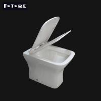 China Modern Bathroom Back To Wall Rimless Toilet Washdown Flushing Floor Mounted for sale