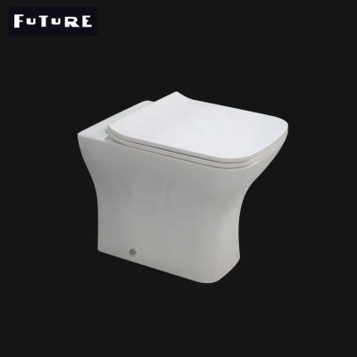 China Modern Bathroom Back To Wall Rimless Toilet Washdown Flushing Floor Mounted for sale