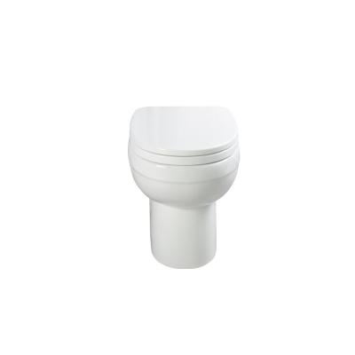 China 365mm Width Rimless Back To Wall Wc Pan Elegant One Piece Dual Flush Toilet for sale