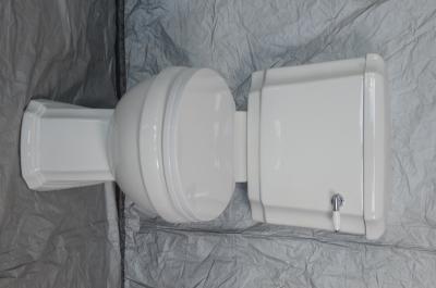 China Wall Mounted Fully Shrouded Rimless Toilet S Trap Close Coupled Toilet for sale