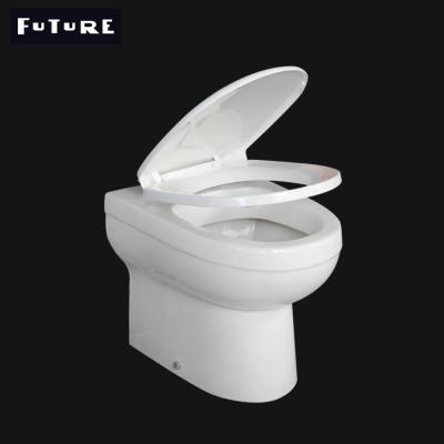 China Ceramic Back To The Wall Rimless Btw Wc Pan Water Saving for sale