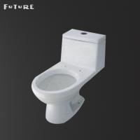 China CE Siphonic One Piece Toilet Bowl Without Tank Automatic Deodorization for sale
