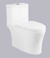 China CE Siphonic One Piece Toilet Bowl Without Tank Automatic Deodorization for sale