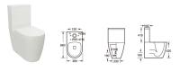 China Durable Close Coupled Bidet Toilet Wash Down Type Water Closet Auto Deodorization for sale