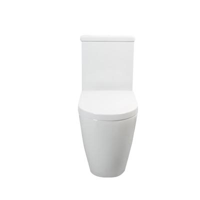 China Durable Close Coupled Bidet Toilet Wash Down Type Water Closet Auto Deodorization for sale