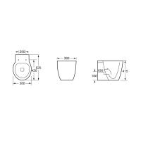 China Efficient Flushing White Back To Wall Toilet One Piece Ceramic Toilet 520mm for sale