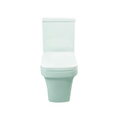 China FUTURE White Close Coupled Cloakroom Toilet With Smooth Glazed Ceramic for sale