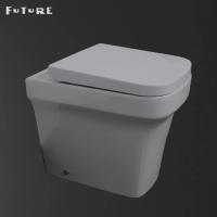 China Antibacterial Contemporary Back To Wall Toilet 360*520*420MM for sale