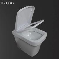 China Antibacterial Contemporary Back To Wall Toilet 360*520*420MM for sale