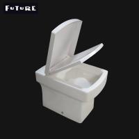 China Washdown Flushing Square Close Coupled Toilet Back To Wall Wc Eco Friendly for sale