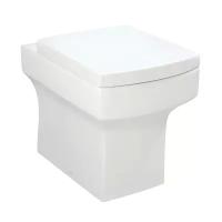 China Washdown Flushing Square Close Coupled Toilet Back To Wall Wc Eco Friendly for sale