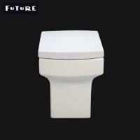 China Washdown Flushing Square Close Coupled Toilet Back To Wall Wc Eco Friendly for sale
