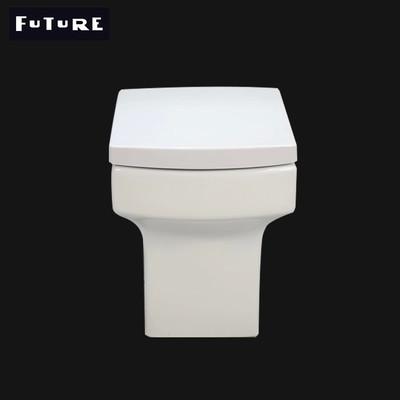 China Washdown Flushing Square Close Coupled Toilet Back To Wall Wc Eco Friendly for sale