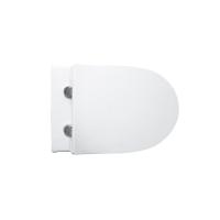 China CE Gravity Flushing Back To Wall Wc Pan Comfort Height Aging Resistance for sale