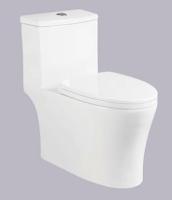 China Automatic Deodorization Siphonic One Piece Toilet Bowl Without Tank Smooth Glazed for sale
