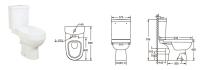 China Elongated Seat  655*375*795mm Two Piece Toilet Wc For The Bathroom for sale